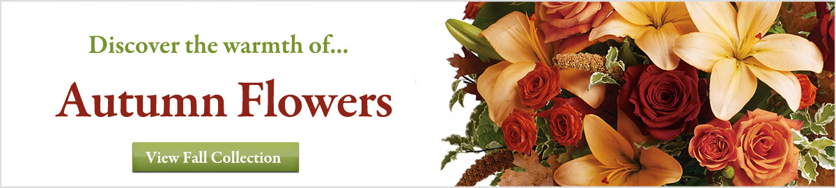 Nature's Wonders Florist - North Vancouver Flowers, Florist Delivery in ...